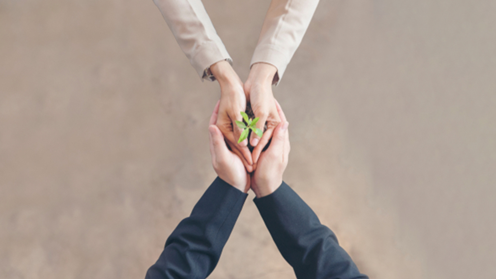 Building Strong Foundations: Key Elements for a Healthy Relationship ...