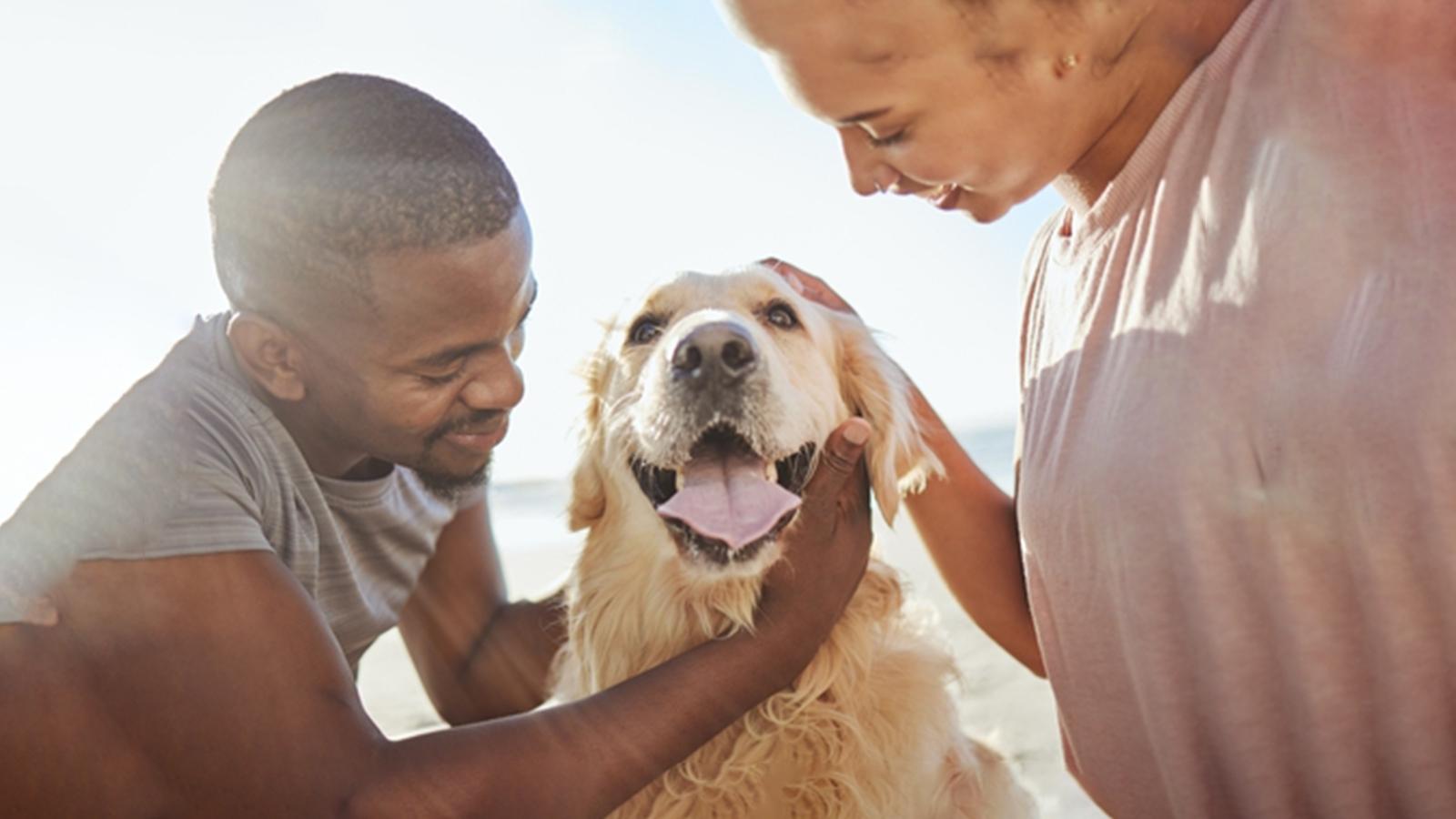 The Importance of Quality Time: Nurturing Connection through Meaningful ...