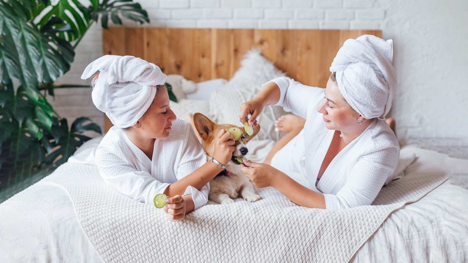 The Ultimate Guide to Creating a Spa Day at Home - Making Up